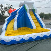 China Double Dolphins Inflatable Floating Water Slide durable Large Slide with Water Pool for sale