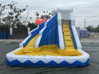 China Double Dolphins Inflatable Floating Water Slide durable Large Slide with Water Pool for sale
