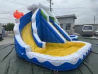 China Double Dolphins Inflatable Floating Water Slide durable Large Slide with Water Pool for sale