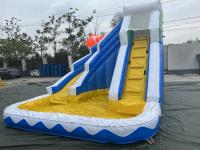 China Double Dolphins Inflatable Floating Water Slide durable Large Slide with Water Pool for sale