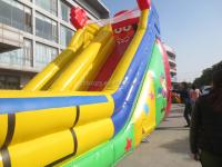 China 26ft Outdoor Inflatable Water Slide for Adults Heavy Duty PVC Tarpaulin Customizable for sale