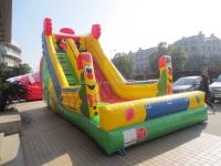 China 26ft Outdoor Inflatable Water Slide for Adults Heavy Duty PVC Tarpaulin Customizable for sale