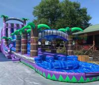 China Commercial Durable Inflatable Water Slide with Pool 0.55mm PVC 500kg Capacity for sale