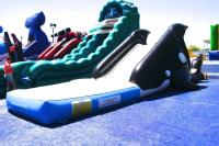 China Commercial Inflatable Water Slide with Pool for Kids and Adults 500kg Capacity for sale