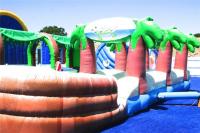 China Commercial Inflatable Water Slide with Pool for Kids and Adults 500kg Capacity for sale