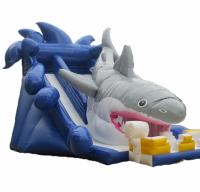China Commercial Outdoor Inflatable Bounce Slide with Pool for Kids Adults Custom Size 0.55mm PVC for sale
