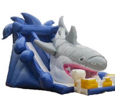 China Commercial Outdoor Inflatable Bounce Slide with Pool for Kids Adults Custom Size 0.55mm PVC for sale