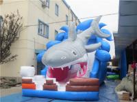 China Commercial Outdoor Inflatable Bounce Slide with Pool for Kids Adults Custom Size 0.55mm PVC for sale