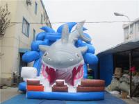 China Commercial Outdoor Inflatable Bounce Slide with Pool for Kids Adults Custom Size 0.55mm PVC for sale