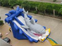 China Commercial Outdoor Inflatable Bounce Slide with Pool for Kids Adults Custom Size 0.55mm PVC for sale