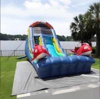 China Commercial Inflatable Dual Water Slide with Pool for Party Rental Business 5-10 Person Capacity for sale