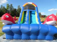 China Commercial Inflatable Dual Water Slide with Pool for Party Rental Business 5-10 Person Capacity for sale