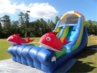 China Commercial Inflatable Dual Water Slide with Pool for Party Rental Business 5-10 Person Capacity for sale