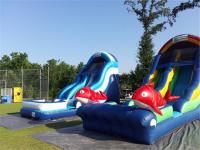 China Commercial Inflatable Dual Water Slide with Pool for Party Rental Business 5-10 Person Capacity for sale