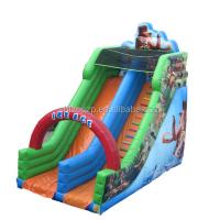 China Customizable PVC Inflatable Water Slide for Kids and Adults 5-14 Years Outdoor Fun for sale