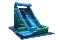 China Customizable PVC Inflatable Water Slide for Kids and Adults 5-14 Years Outdoor Fun for sale