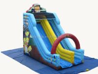 China Customizable PVC Inflatable Water Slide for Kids and Adults 5-14 Years Outdoor Fun for sale