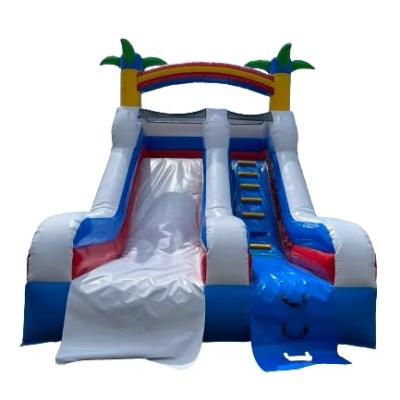China Commercial PVC Inflatable Water Slide 6x3.8x5m Customized Bounce Slide for Water Park for sale