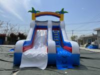 China Commercial PVC Inflatable Water Slide 6x3.8x5m Customized Bounce Slide for Water Park for sale