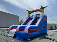 China Commercial PVC Inflatable Water Slide 6x3.8x5m Customized Bounce Slide for Water Park for sale