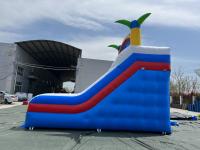 China Commercial PVC Inflatable Water Slide 6x3.8x5m Customized Bounce Slide for Water Park for sale