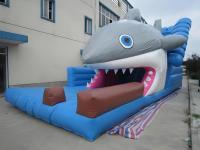China Commercial Double Lane Inflatable Water Slide Race Car with Pool 5-10 Person Capacity for sale
