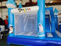China Inflatable Penguin Bounce House Slide Combo Blue Theme Kids Castle 10ft x 8ft Commercial Playground for sale