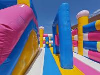 China Custom Inflatable Bounce House with Slide 3m Play Zone for Kids Party School Event Rental for sale