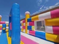China Custom Inflatable Bounce House Slide Combo Kids Fun Park 3m x 3m Cartoon Theme Party Castle for sale