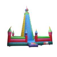 China Inflatable Rock Climbing Wall 100-500kg Capacity Customizable PVC Climbing Tower for Indoor Outdoor Sports for sale