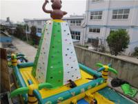 China Inflatable Rock Climbing Wall 100-500kg Capacity Customizable PVC Climbing Tower for Indoor Outdoor Sports for sale