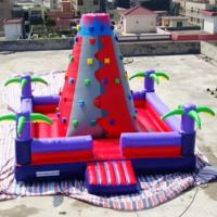 China Custom Inflatable Rock Climbing Wall 6-15m High PVC Tarpaulin CE Certified for sale