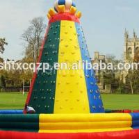 China Custom Inflatable Rock Climbing Wall 6-15m High PVC Tarpaulin CE Certified for sale