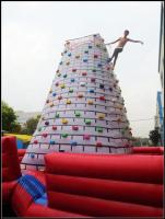 China Custom Inflatable Rock Climbing Wall 6-15m High PVC Tarpaulin CE Certified for sale