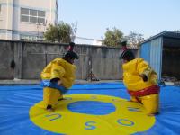 China Inflatable Sumo Suits for Outdoor Sport Games Custom Size PVC Tarpaulin 3 Year Warranty for sale