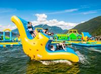 China Inflatable Floating Water Park for Sale 0.9mm PVC Outdoor Aqua Park with 500kg Capacity for sale