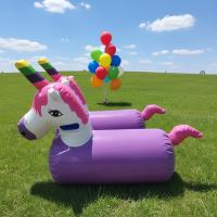 China Custom Inflatable Unicorn Water Toy PVC Tarpaulin Outdoor Play Equipment for Commercial Use 1 Person for sale