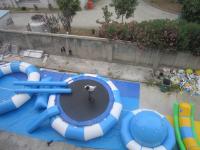 China Large Outdoor Water Park Inflatable Underwater Gyroscope Toy for Kids and Adults 6-30m for sale