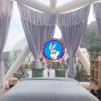 China Inflatable Transparent Dome Tent 3m 6m Diameter PVC Bubble Tent for Camping Event Promotion for sale
