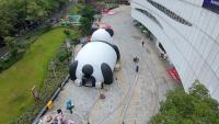 China Custom Inflatable Panda Tent 4m Walk In Animal Shelter for Outdoor Events Commercial Promotions for sale