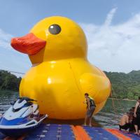 China Huge Inflatable Yellow Duck Floating on Water PVC Advertising Cartoon 3 Year Warranty for sale