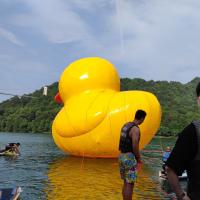 China Huge Inflatable Yellow Duck Floating on Water PVC Advertising Cartoon 3 Year Warranty for sale