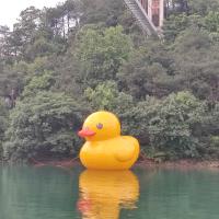 China Huge Inflatable Yellow Duck Floating on Water PVC Advertising Cartoon 3 Year Warranty for sale
