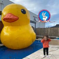 China Fireproof UV Resistant PVC Custom Giant Inflatable Duck 5m for Event Advertising for sale