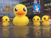 China Fireproof UV Resistant PVC Custom Giant Inflatable Duck 5m for Event Advertising for sale