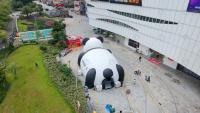 China Custom Giant Inflatable Panda Model 3m for Outdoor Event Decoration and Commercial Display for sale
