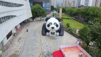 China Custom Giant Inflatable Panda Model 3m for Outdoor Event Decoration and Commercial Display for sale