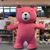 China Custom Inflatable Cartoon Stuffed Animal Toys 2m PVC Advertising Inflatables with CE Certificate for sale