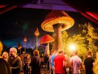 China Custom Inflatable Mushroom with Colorful LED Lights for Outdoor Party Decorations 2m-10m for sale