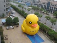 China Custom Inflatable Big Yellow Rubber Duck Cartoon Model for Advertising 3m to 30m PVC for sale